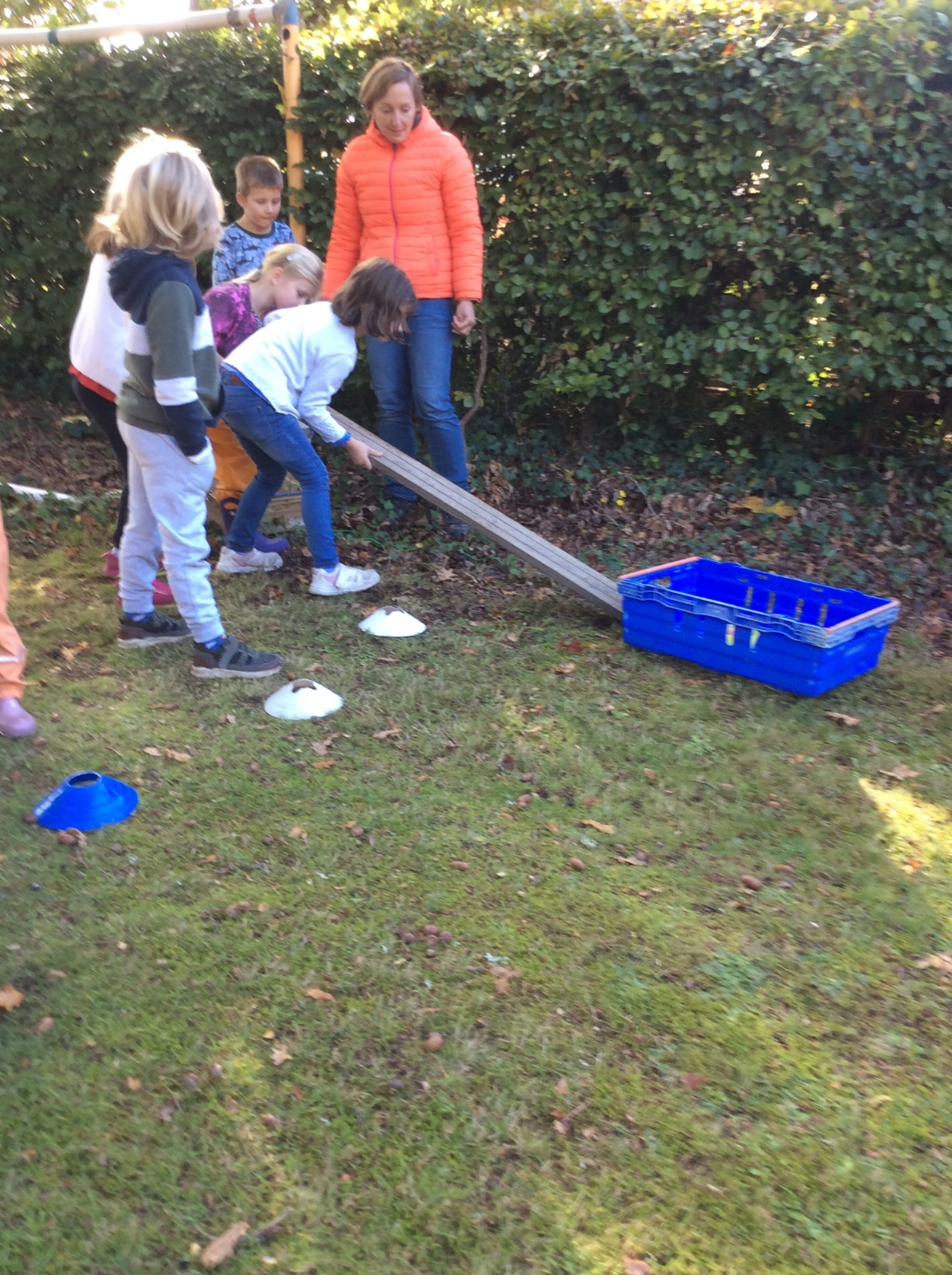 The Federation Of Burley and Sopley Primary Schools - Outdoor Learning