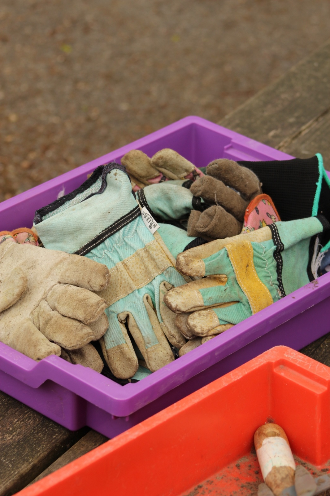 The Federation Of Burley and Sopley Primary Schools - Photo Gallery