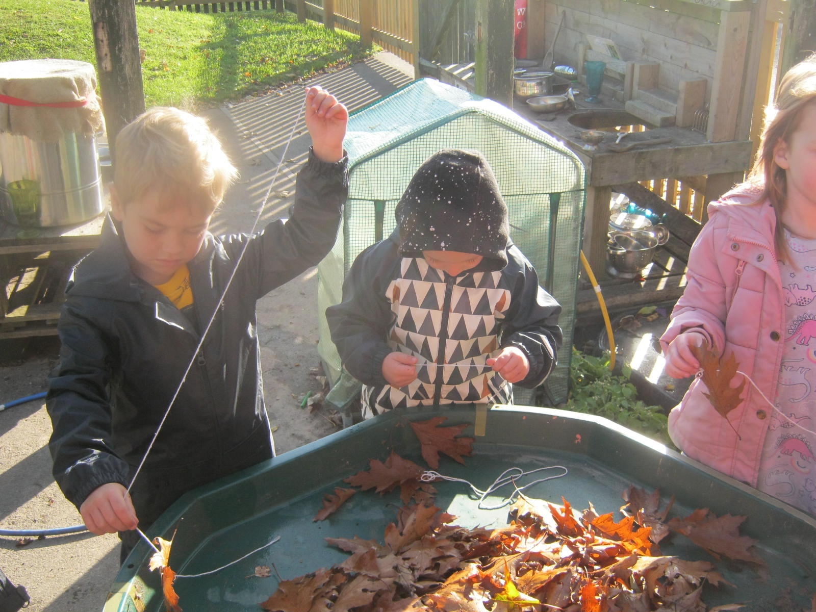 The Federation Of Burley and Sopley Primary Schools - Photo Gallery