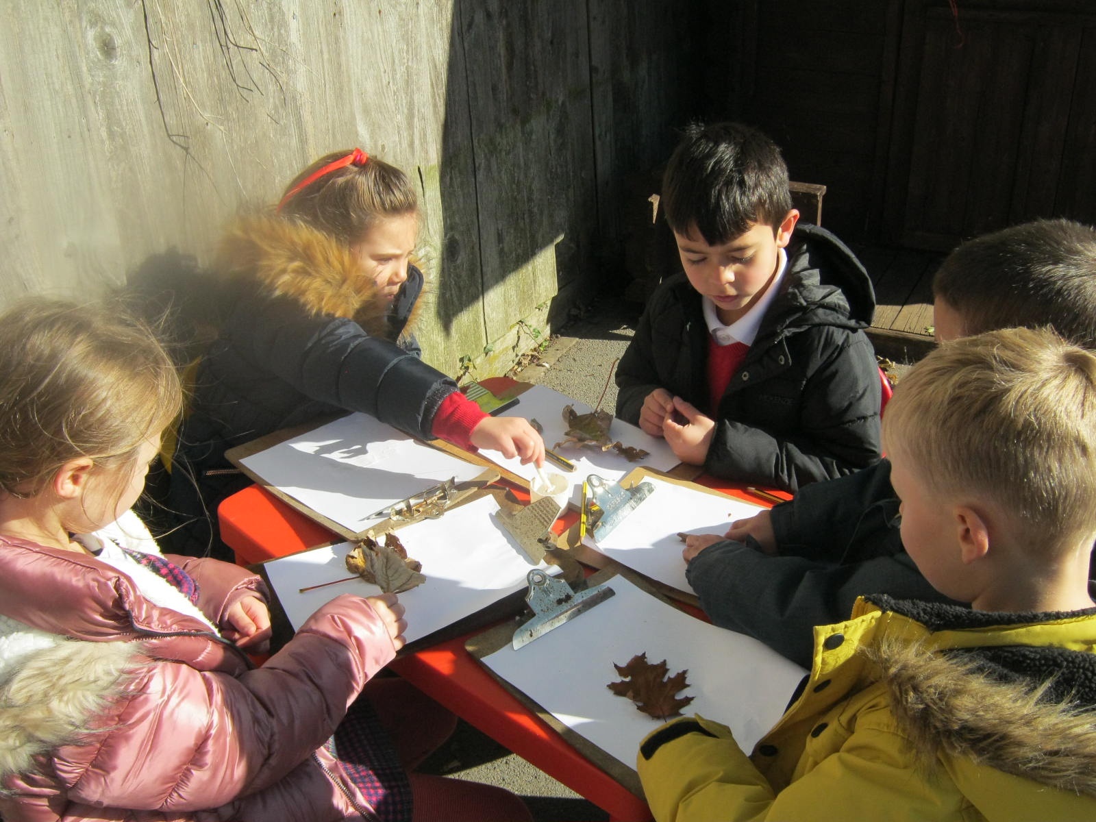 The Federation Of Burley and Sopley Primary Schools - Photo Gallery