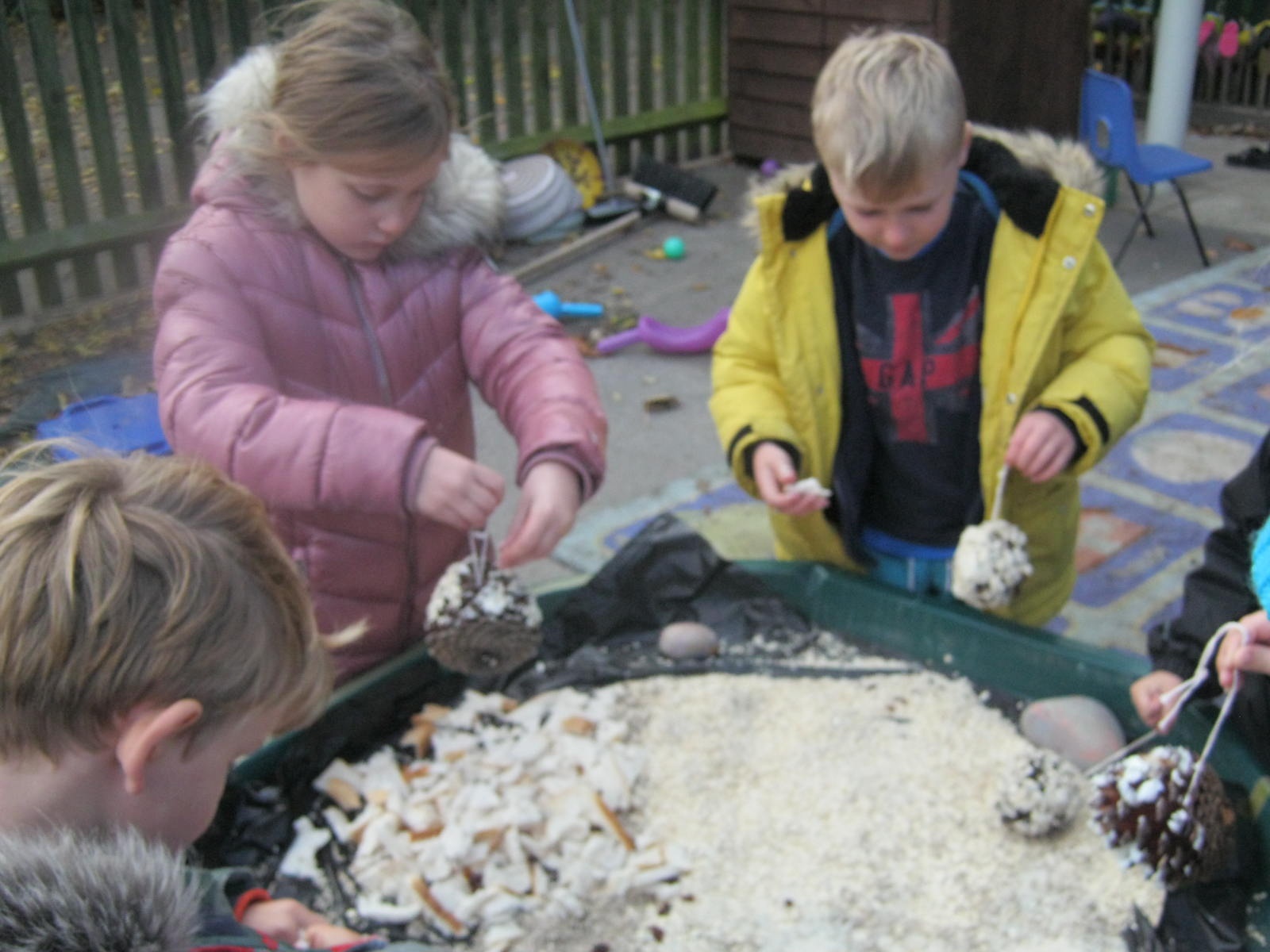 The Federation Of Burley and Sopley Primary Schools - Photo Gallery