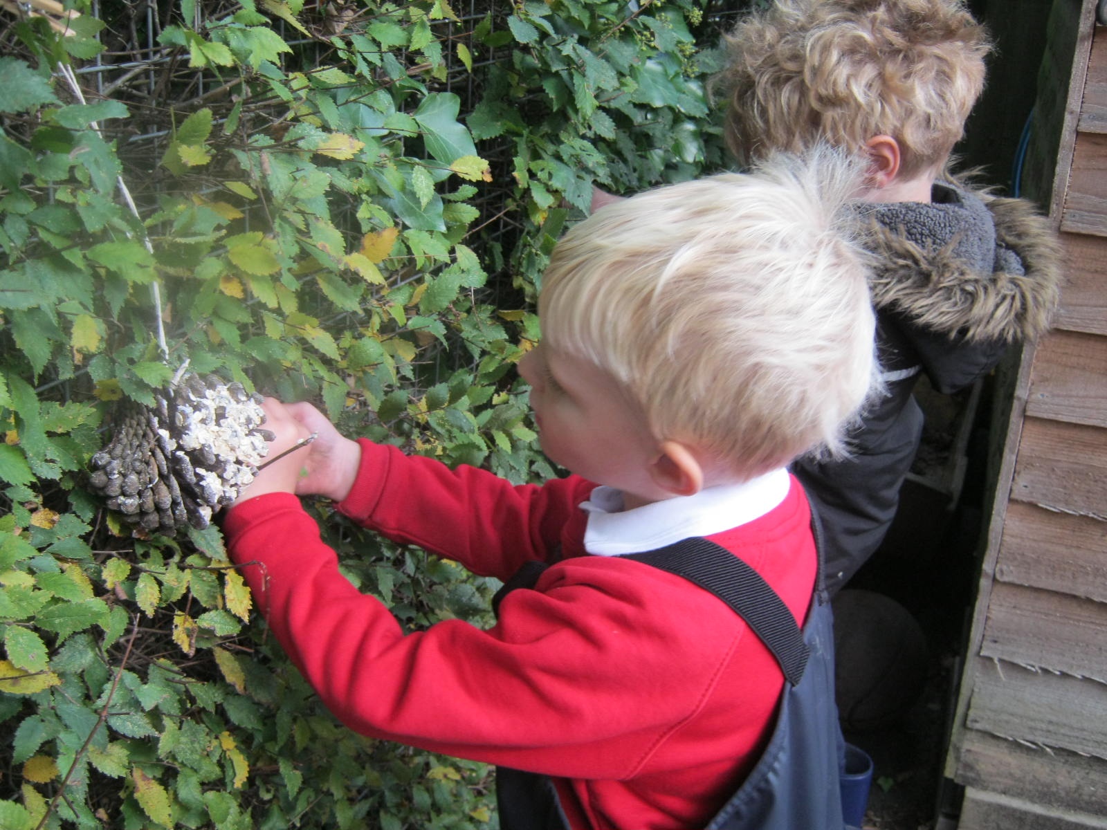 The Federation Of Burley and Sopley Primary Schools - Photo Gallery