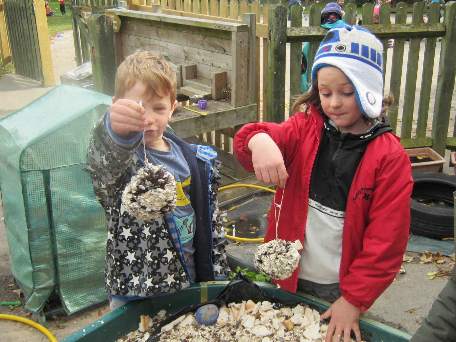 The Federation Of Burley and Sopley Primary Schools - Photo Gallery