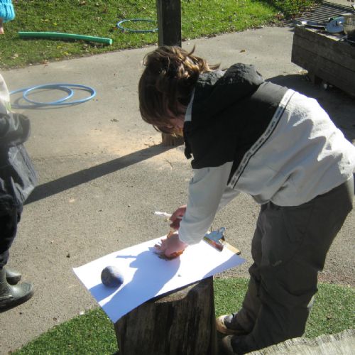 The Federation Of Burley and Sopley Primary Schools - Photo Gallery