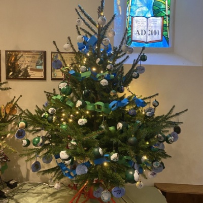 The Federation Of Burley and Sopley Primary Schools - Latest News