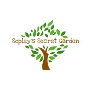 The Federation Of Burley and Sopley Primary Schools - Latest News