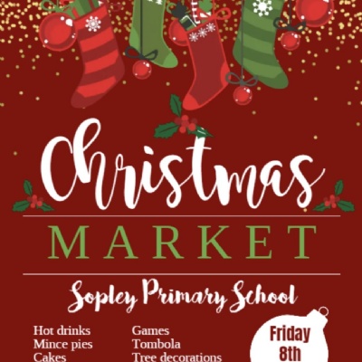 The Federation Of Burley and Sopley Primary Schools - Latest News